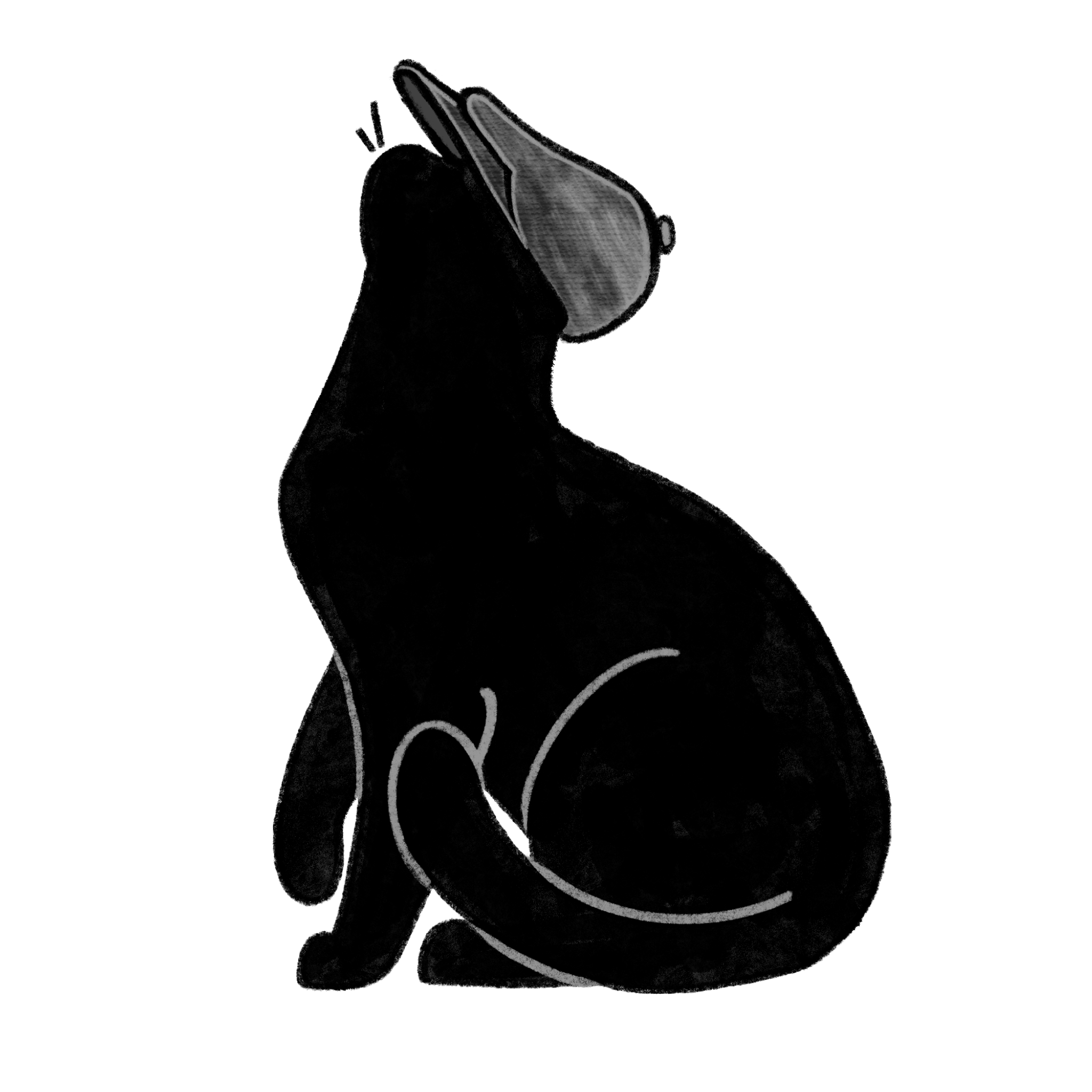 THE TEAM | Superstition Sam